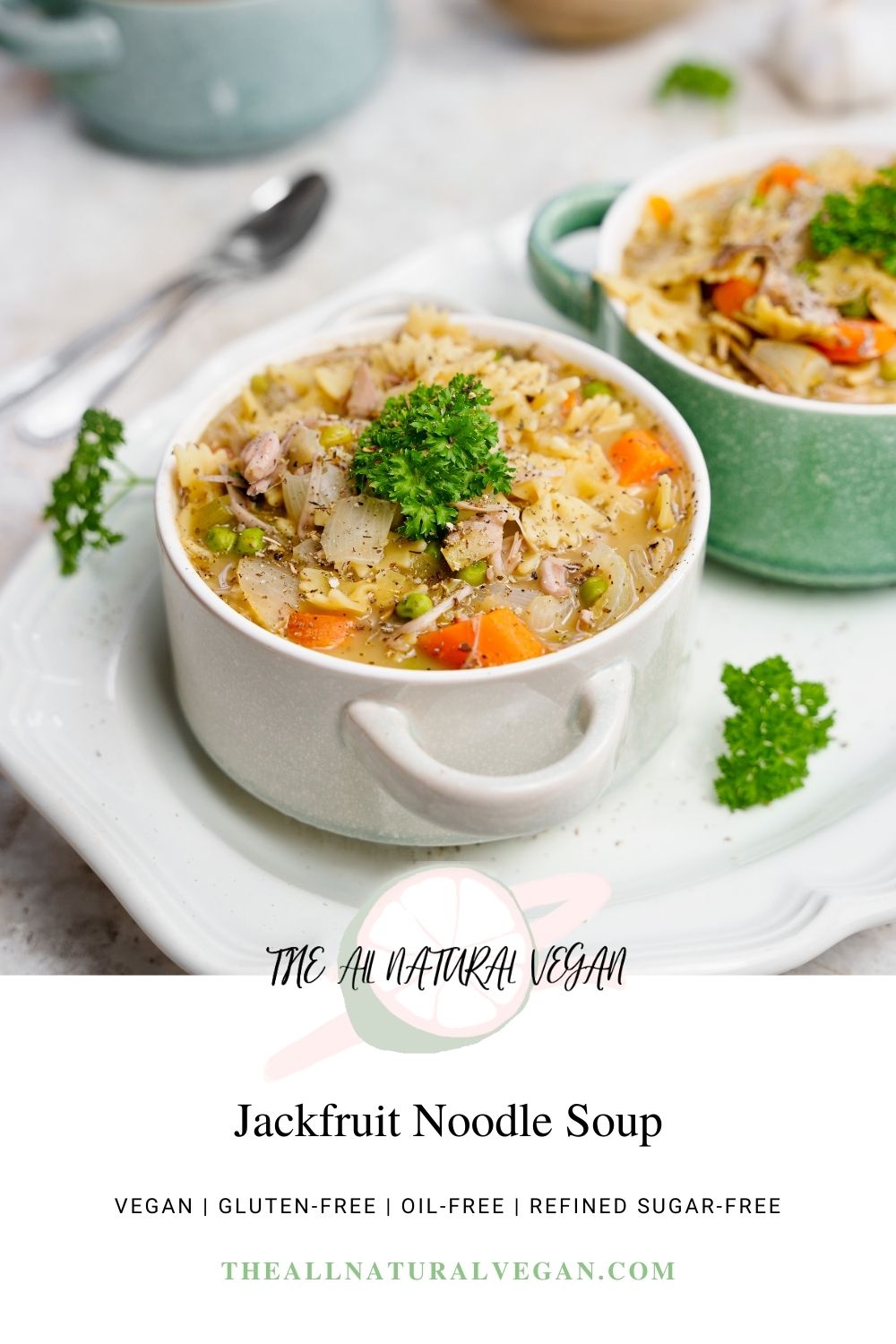 Jackfruit Noodle Soup - The All Natural Vegan