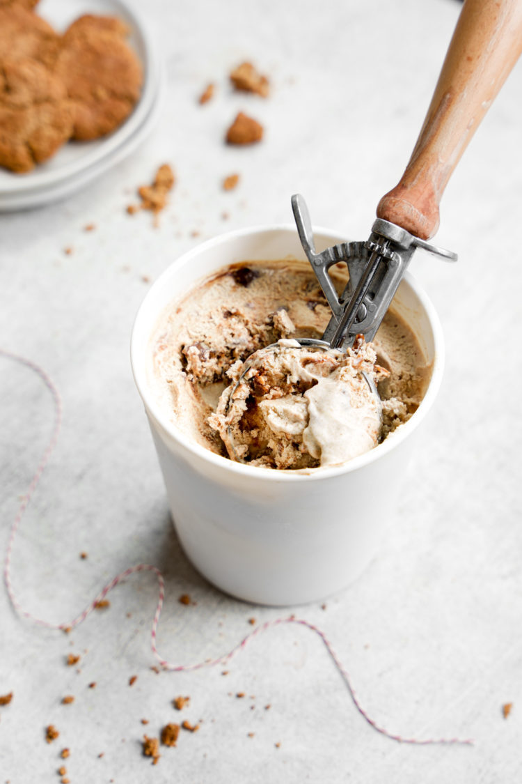 Delicious Healthy Snickerdoodle Ice Cream - The All Natural Vegan