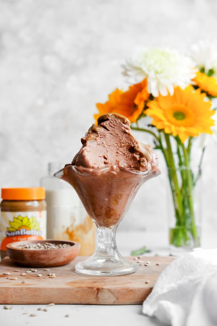 Vegan Chocolate Sunflower Ice Cream - The All Natural Vegan