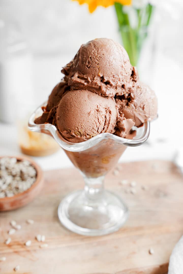 Vegan Chocolate Sunflower Ice Cream - The All Natural Vegan