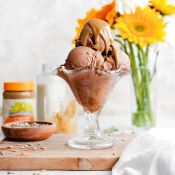 Vegan Chocolate Sunflower Ice Cream - The All Natural Vegan