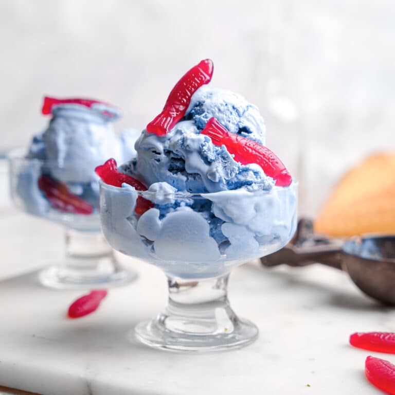 Vegan Samoa Ice Cream - The All Natural Vegan