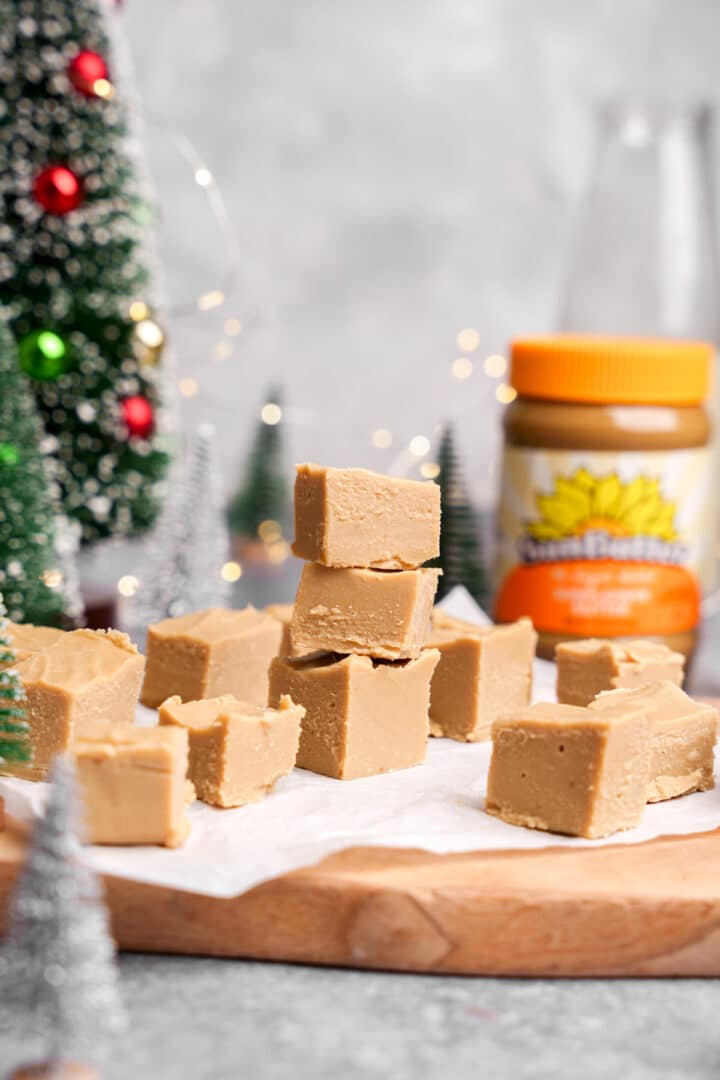 Easy 3 Ingredient SunButter Vegan Fudge - The All Natural Vegan